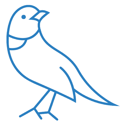 Torchvision Transforms Image Preprocessing In Pytorch Sparrow Computing